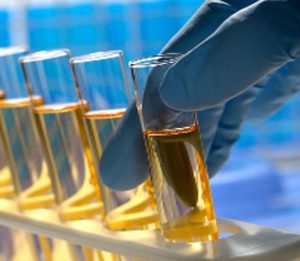 Employee Re-Screening Services | Universal Background